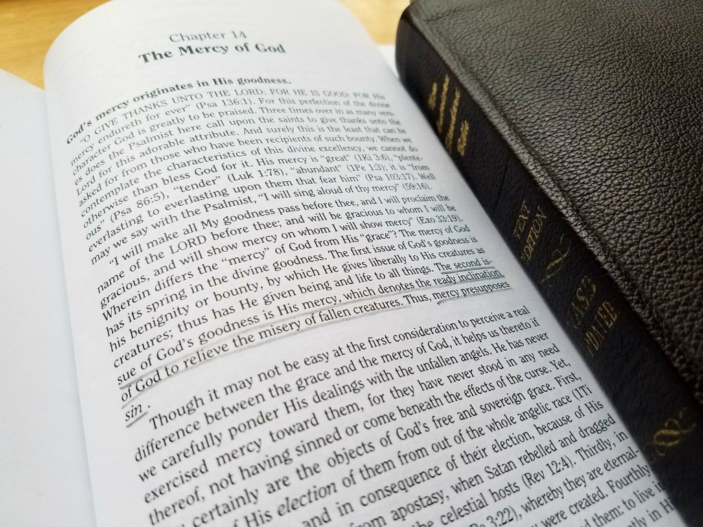 Books Read in 2018: Theology Edition | Kept and Keeping